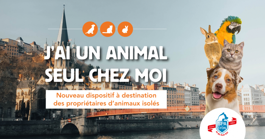 Kit de prévention "J'ai un animal seul chez moi" - SPA de Lyon et du ...